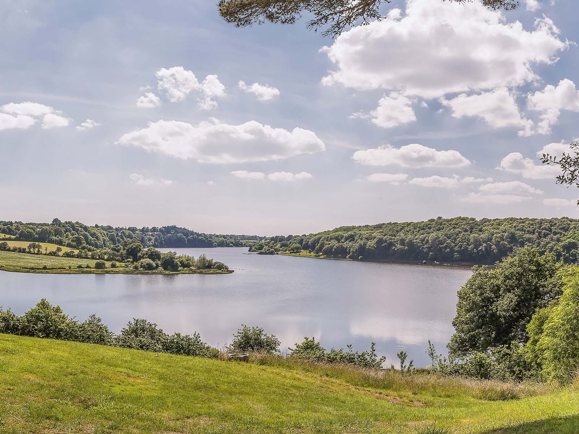 Entertainment and activities in the camping | Le Pin Parasol