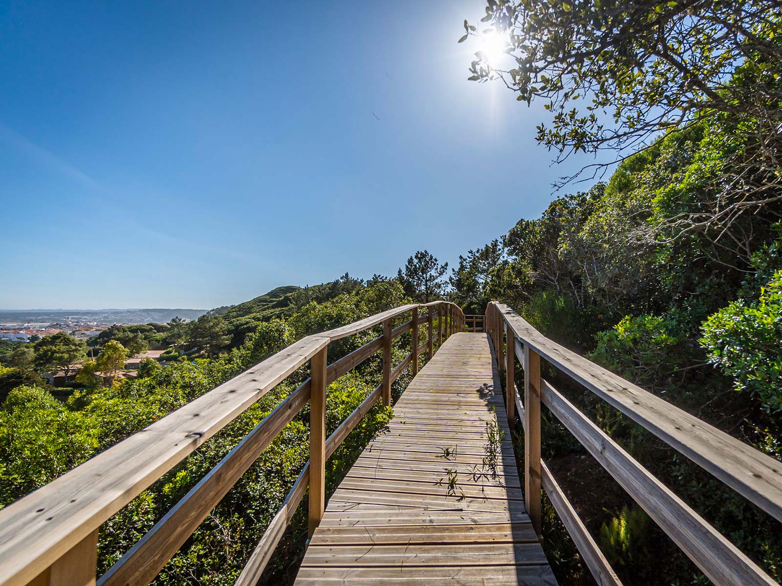 Entertainment and activities in the camping | Colina Do Sol